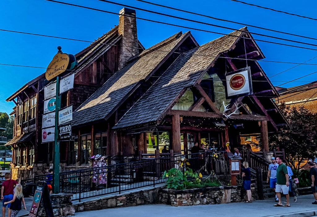 Activities and Things to Do Nearby - A Blue Ridge Cabin Rental